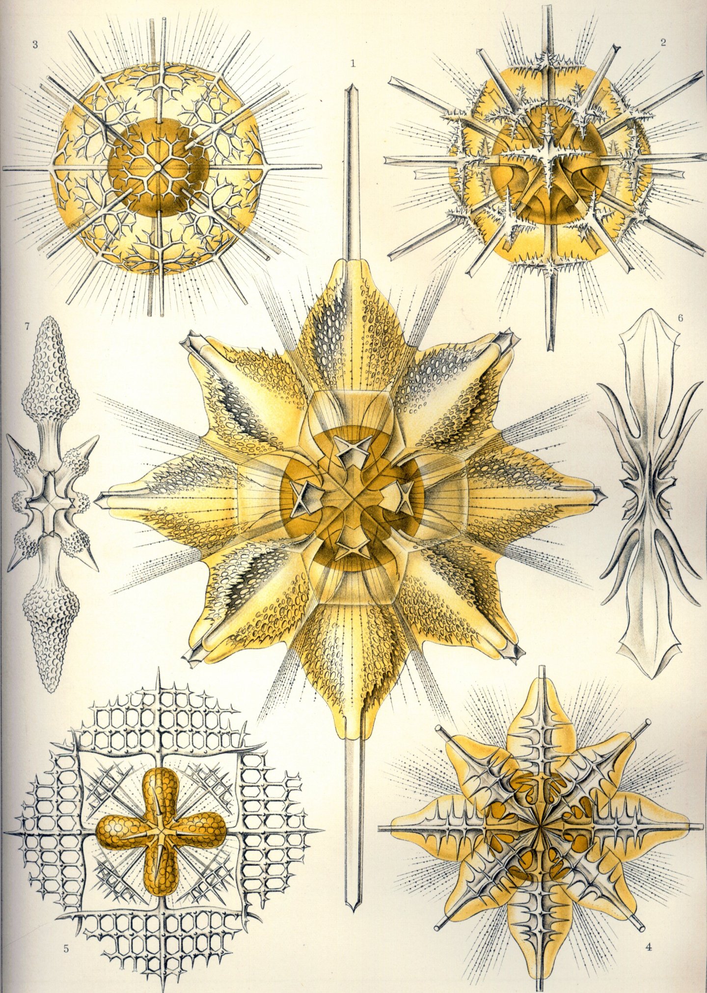 How to design more imaginative yet scientifically plausible fantasy ...